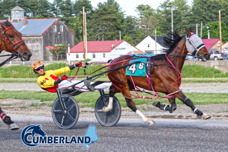 The Bird Dance N hops to victory in Bruce Ranger Open – First Tracks ...