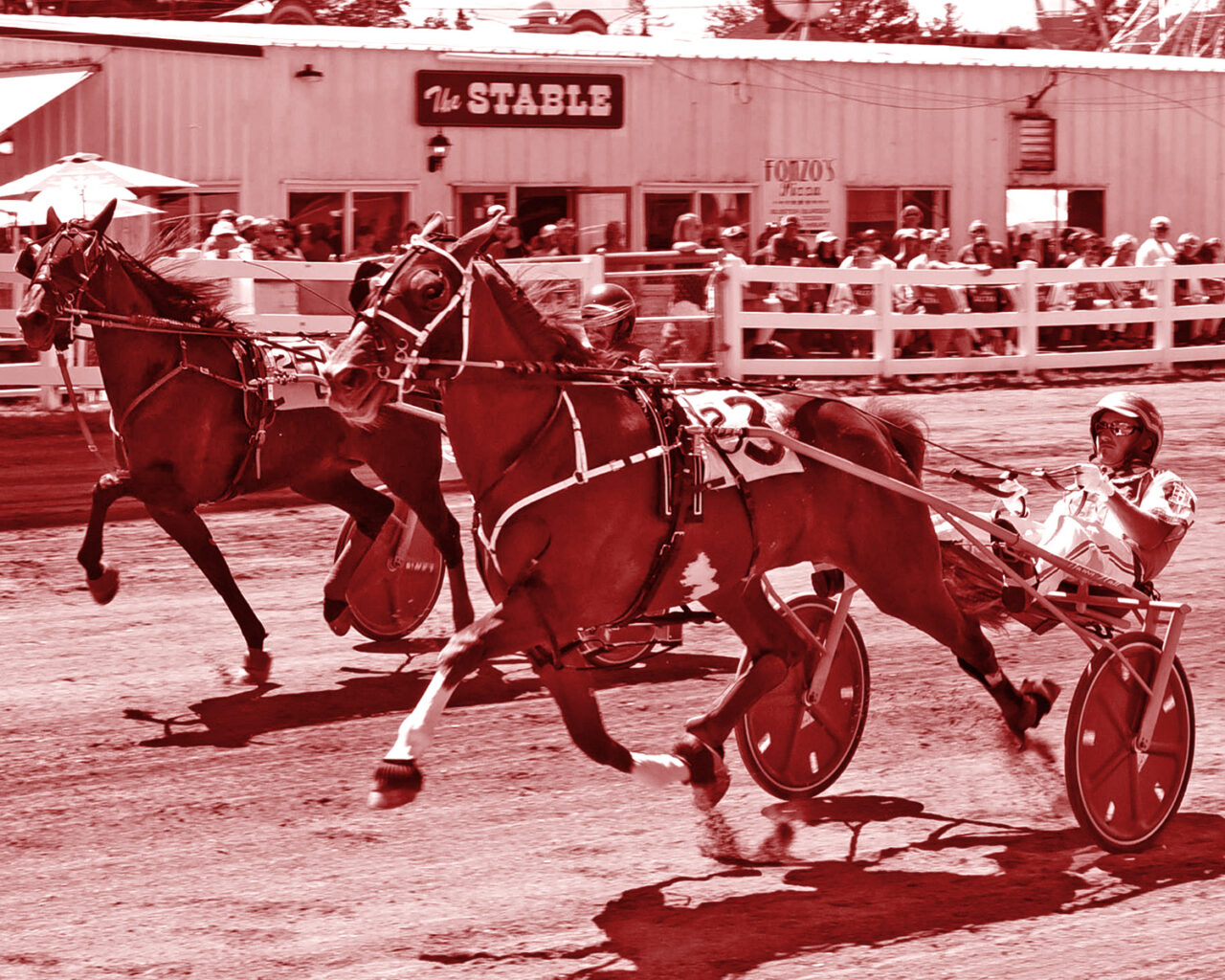 First Tracks Cumberland - Maine Harness Racing
