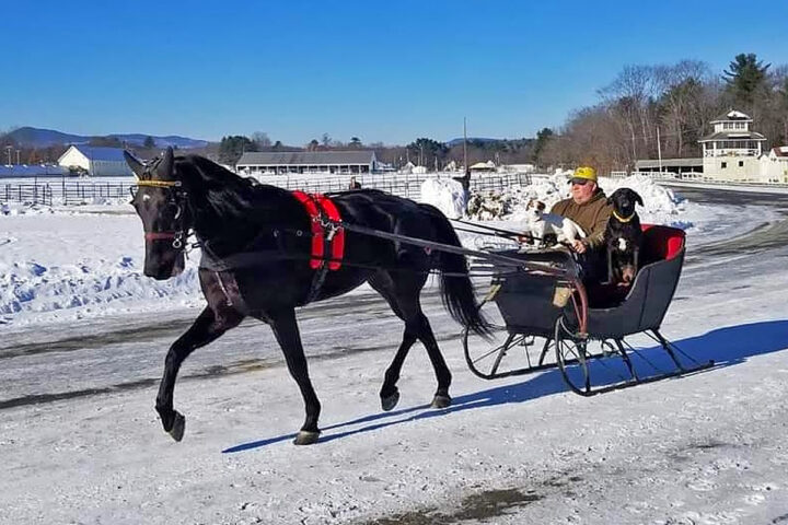 First Tracks Cumberland - Maine Harness Racing