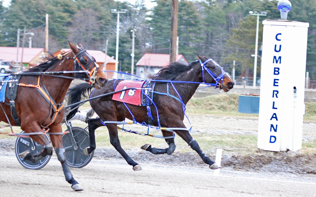 First Tracks Cumberland - Maine Harness Racing