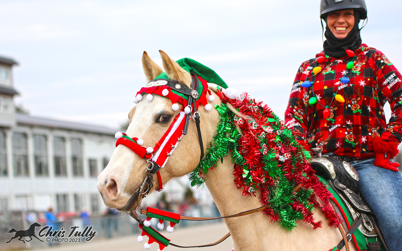 First Tracks Cumberland - Maine Harness Racing
