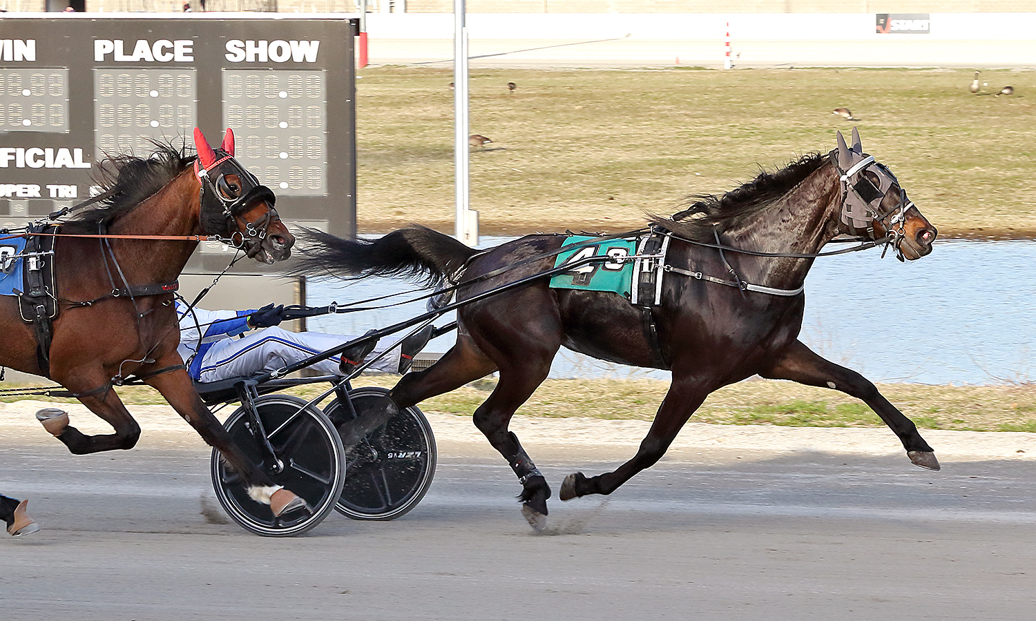 First Tracks Cumberland – Maine Harness Racing