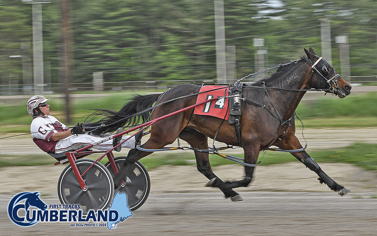 First Tracks Cumberland – Maine Harness Racing