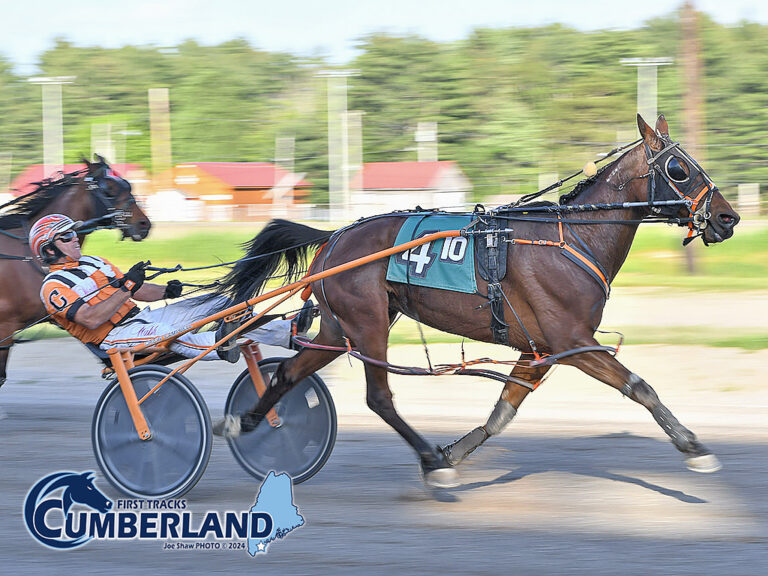 First Tracks Cumberland – Maine Harness Racing