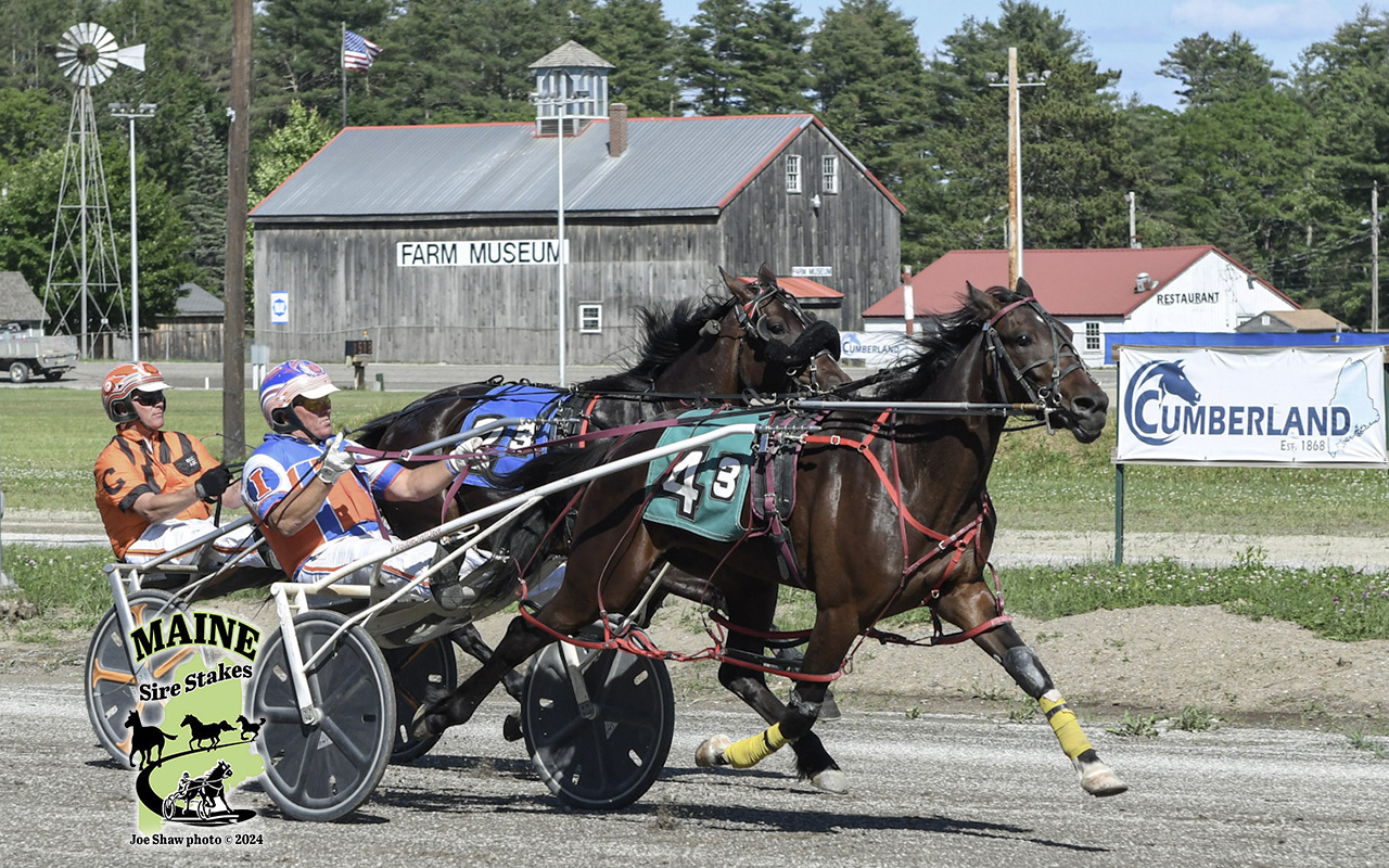 First Tracks Cumberland – Maine Harness Racing