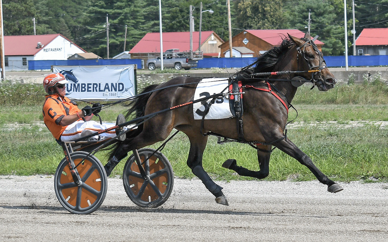 First Tracks Cumberland – Maine Harness Racing