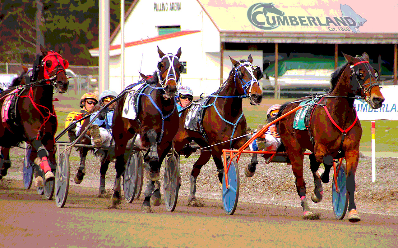 First Tracks Cumberland – Maine Harness Racing