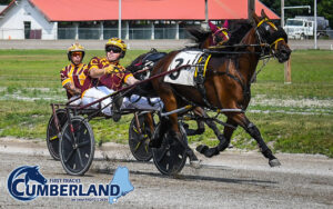 First Tracks Cumberland – Maine Harness Racing