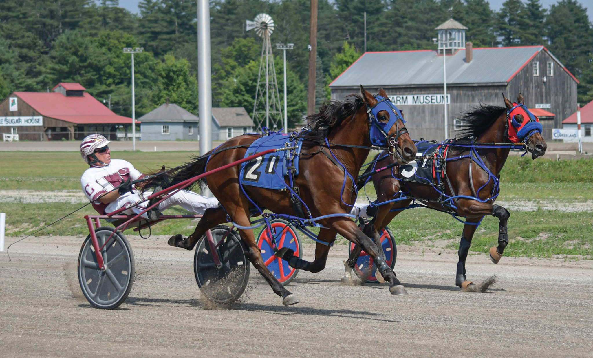 First Tracks Cumberland – Maine Harness Racing