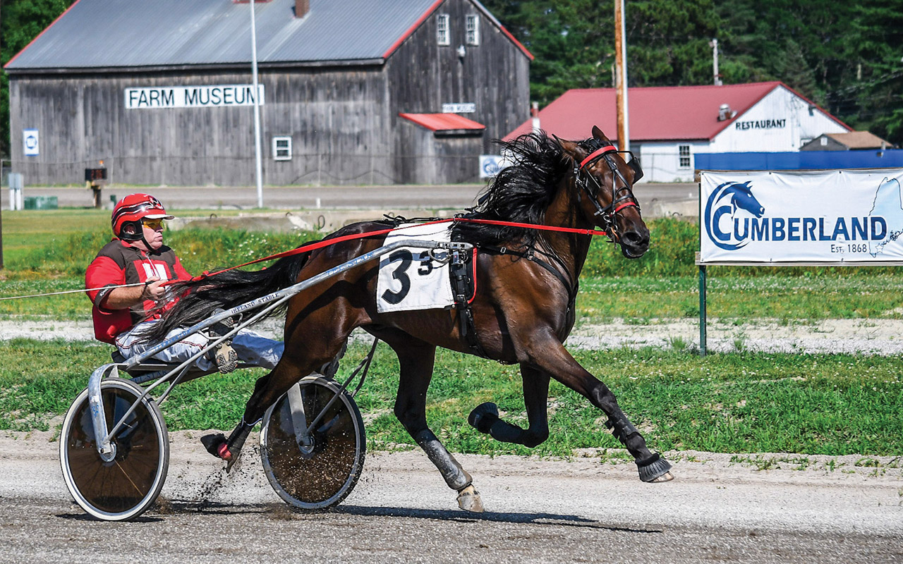 First Tracks Cumberland – Maine Harness Racing