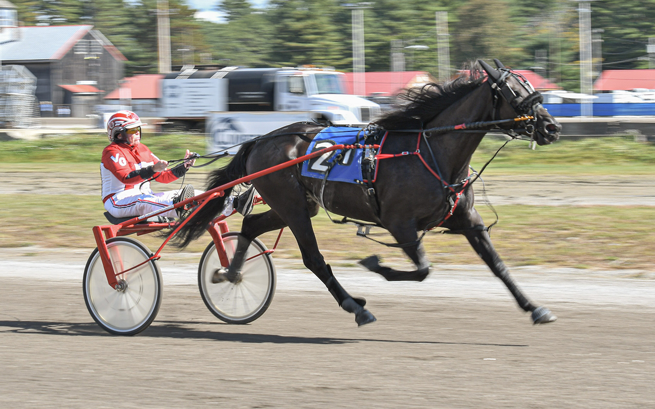 First Tracks Cumberland – Maine Harness Racing