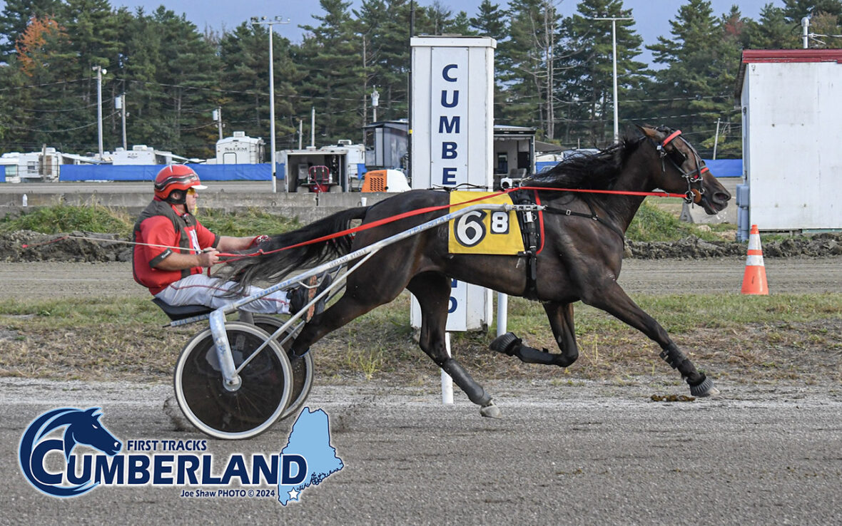 First Tracks Cumberland – Maine Harness Racing