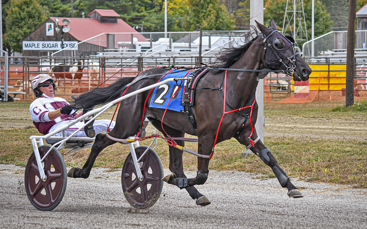 First Tracks Cumberland – Maine Harness Racing