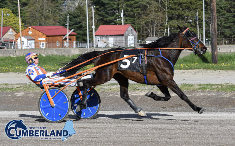 First Tracks Cumberland – Maine Harness Racing