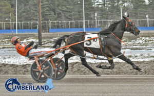 First Tracks Cumberland – Maine Harness Racing