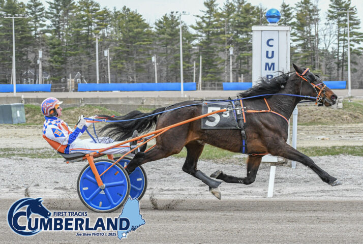 First Tracks Cumberland – Maine Harness Racing