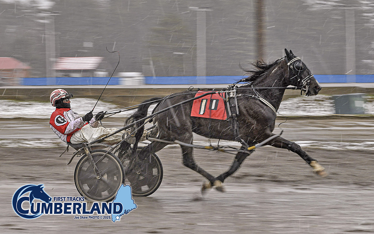 First Tracks Cumberland – Maine Harness Racing