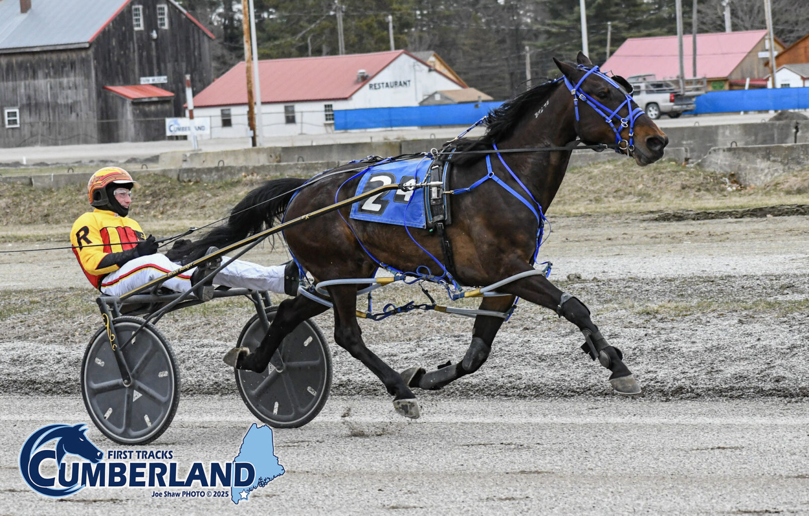 First Tracks Cumberland – Maine Harness Racing