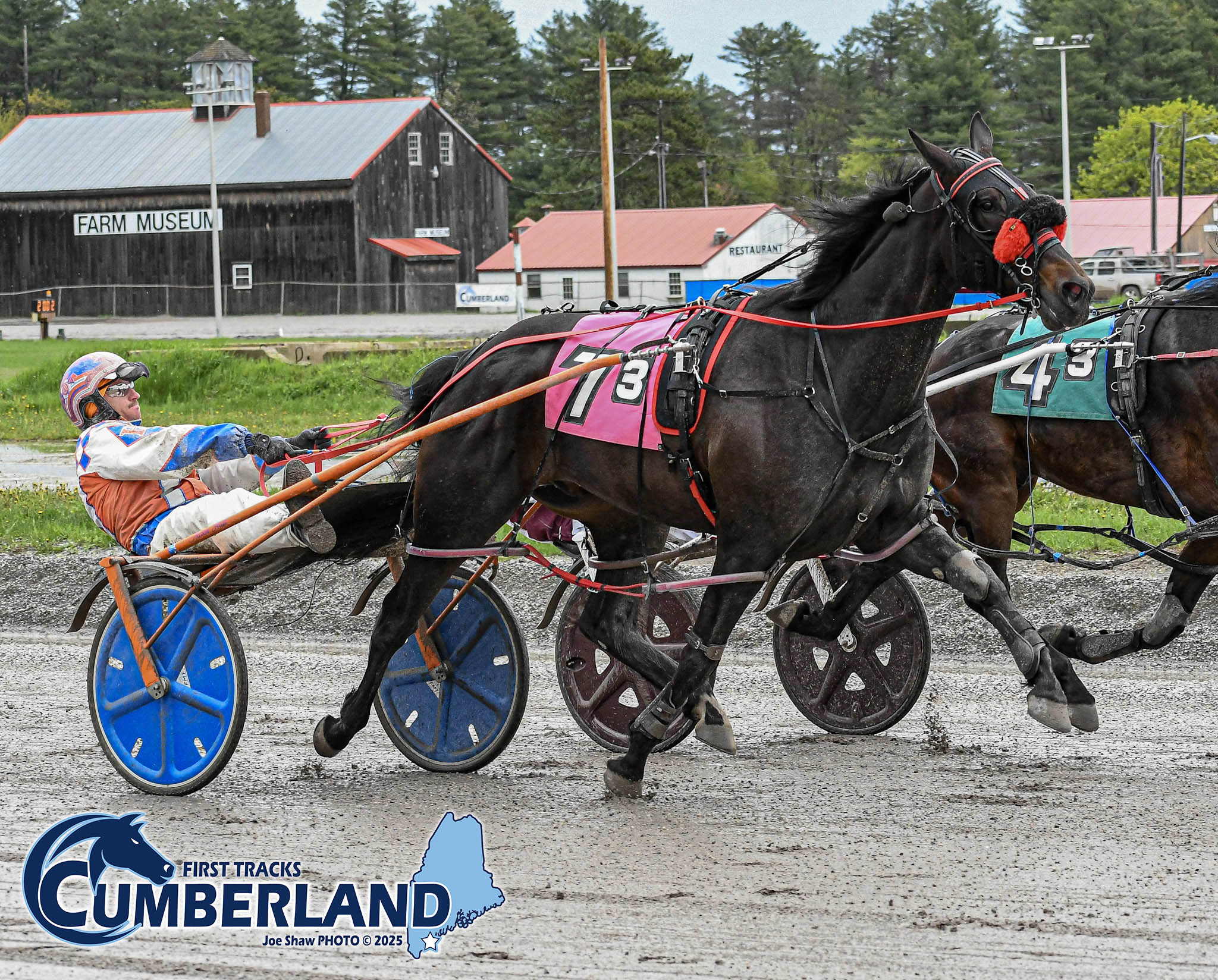 First Tracks Cumberland – Maine Harness Racing