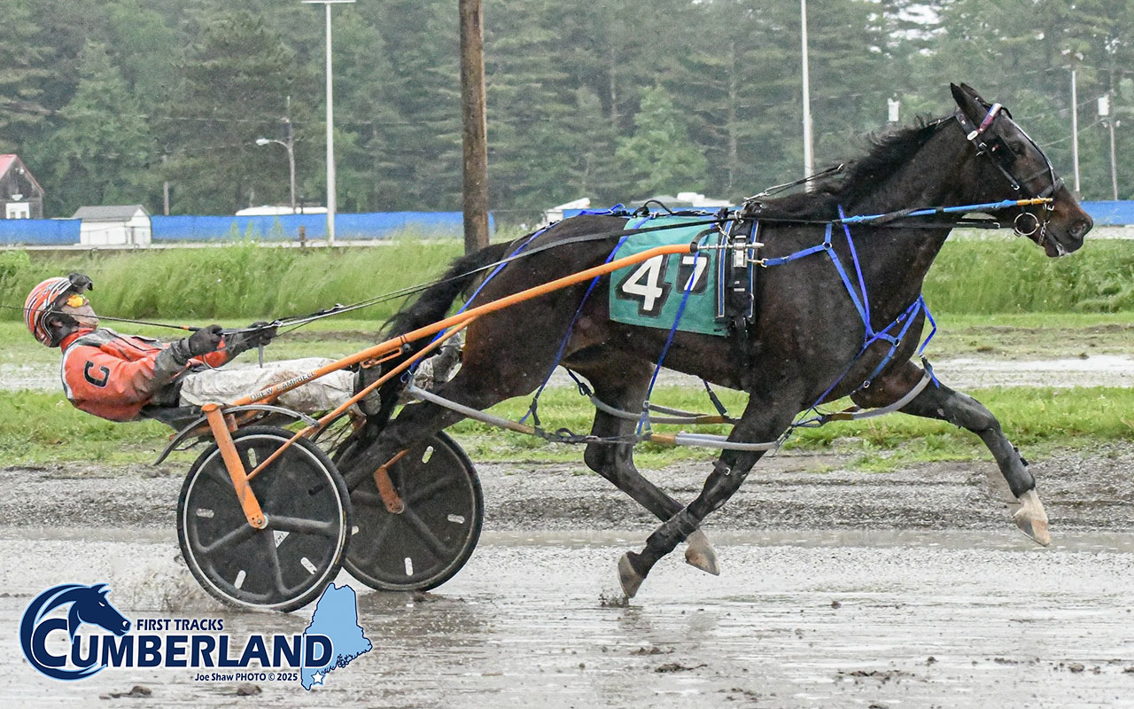 First Tracks Cumberland – Maine Harness Racing
