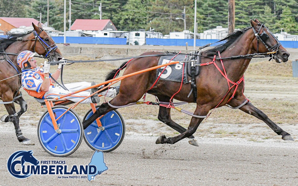 First Tracks Cumberland – Maine Harness Racing
