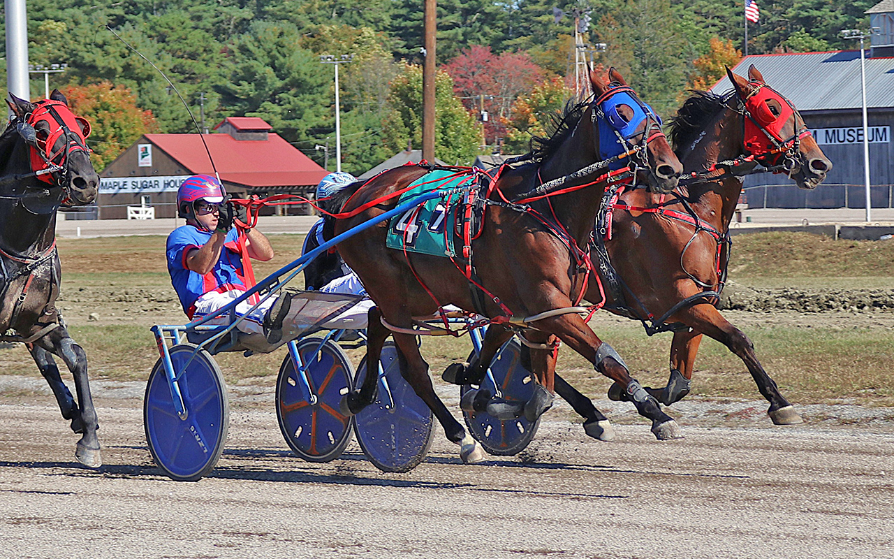 Fern Hill Flight flies in Cumberland Fair finale – First Tracks Cumberland