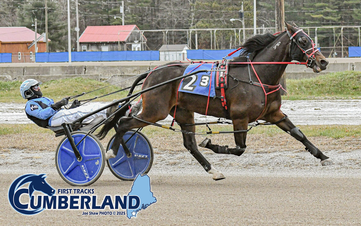 First Tracks Cumberland – Maine Harness Racing